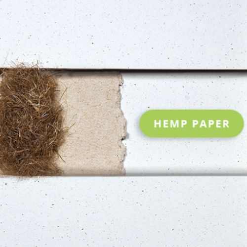 Greenfield Paper – Root for Hemp